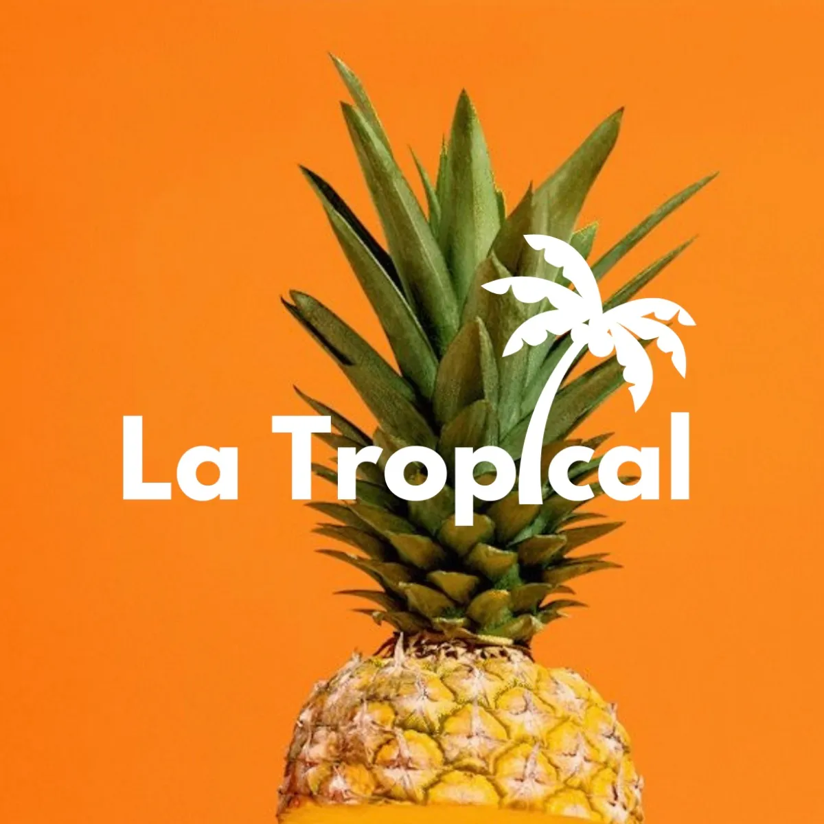 La Tropical C.A | El Yerro Menú
