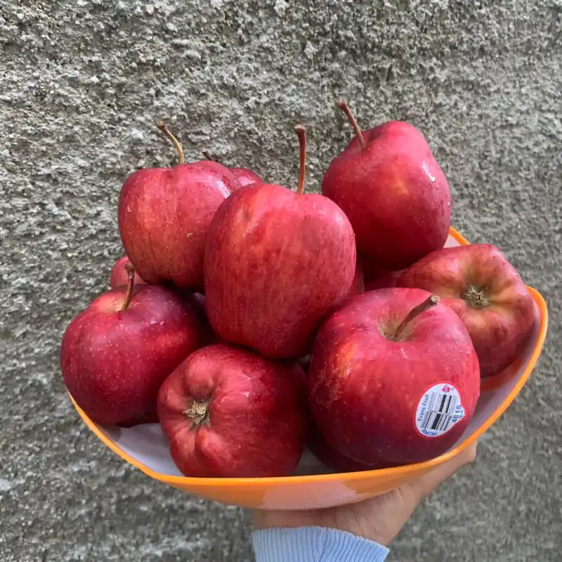 Paquetes de 10 Manzanas 🍎 , Variedad - Ventas por Zelle | El Yerro Menú